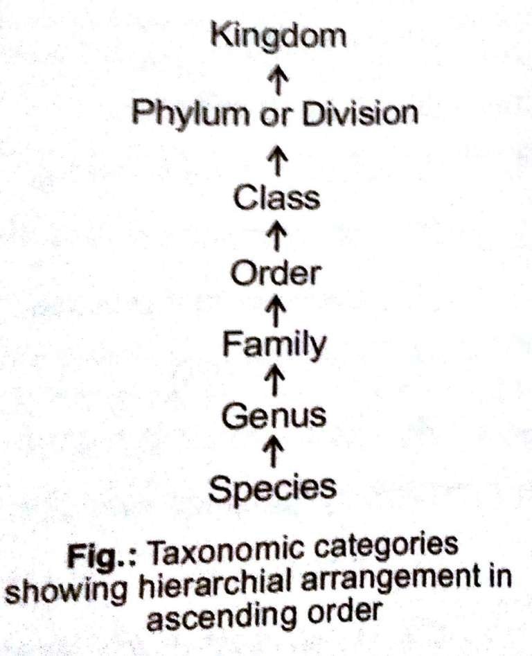Botany Notes “Taxonomy Categories, What is Living” Chapter 1, for Class ...