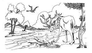 English Short Story “The Flight of A Stag” English Story for Class 10 ...