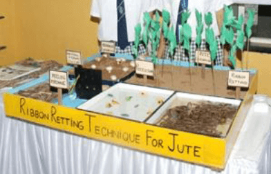 CBSE Science Exhibition Project Example Theme “Industry” Project “Cost ...