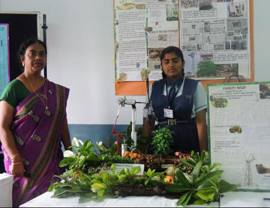 CBSE Science Fair Exhibition Project, “THIRSTY WILD (Save tigers ...